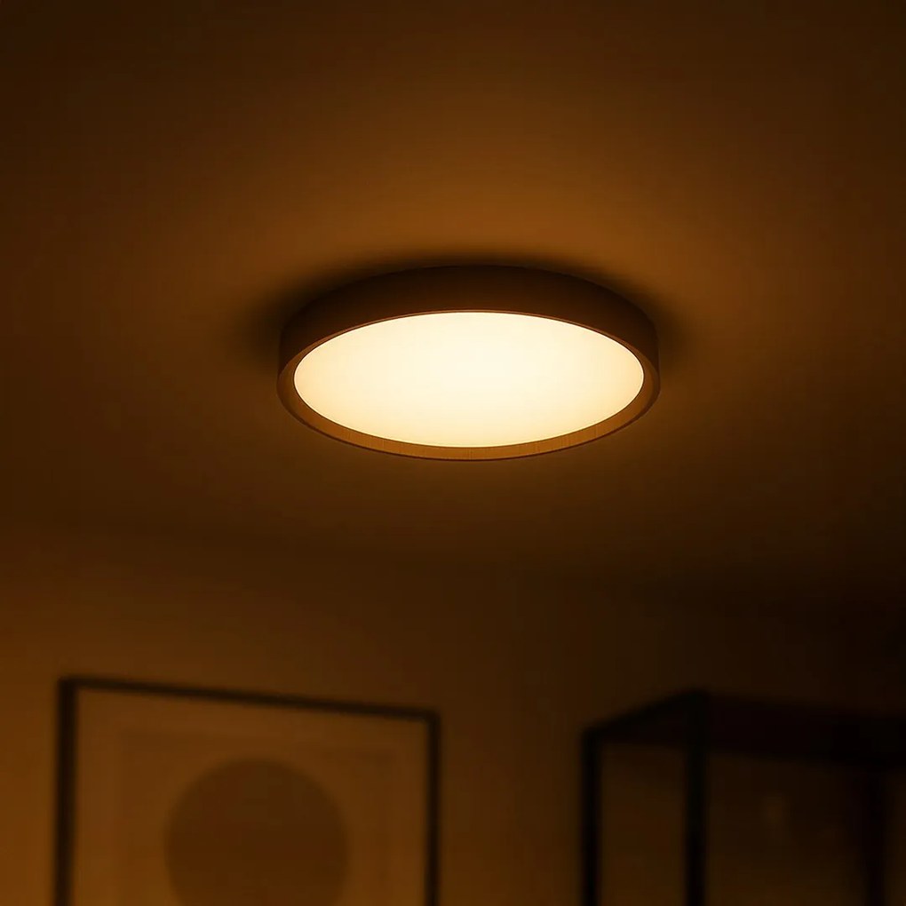 Stropní LED svítidlo Forest, 1x LED 24w, 4000k, (fi 39cm), imitace dřeva