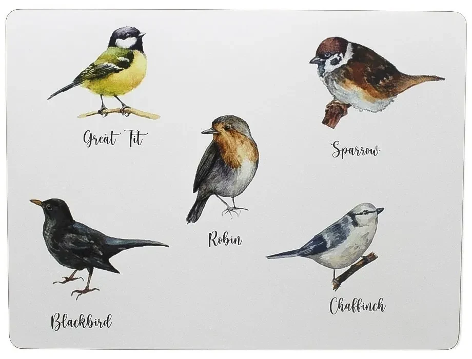 4ks pevné korkové prostírání ptáčci Garden birds - 30*40*0,4cm | BIANO