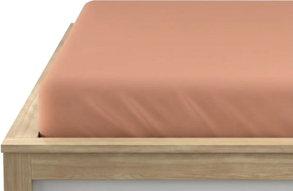 Jersey prostěradlo BASIC meruňkové 90 x 200 cm