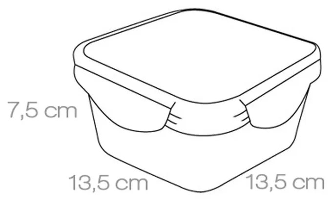 TESCOMA Dóza FRESHBOX 0,7 l, čtvercová