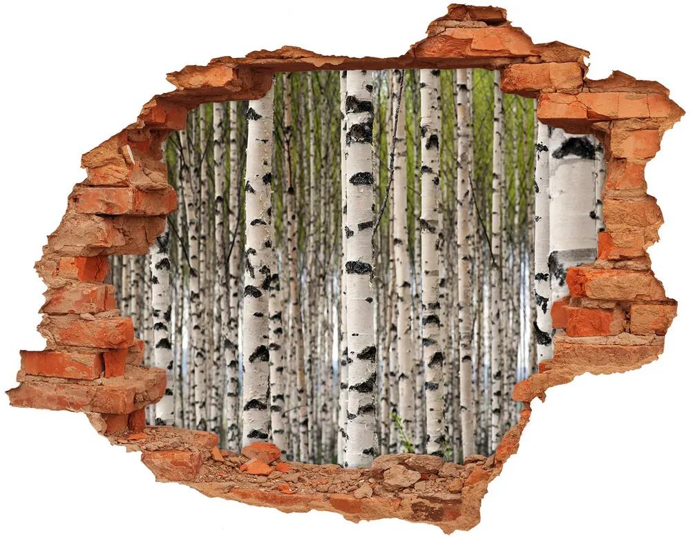 Wallmuralia Samolepící nálepka na zeď Břízový les 90x70 cm