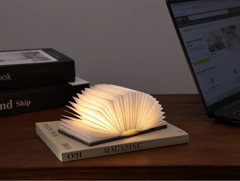 Přenosná světelná dekorace na USB v přírodní barvě BookLight – Gingko