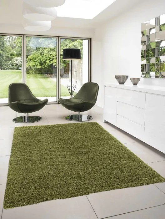 Vopi | Kusový koberec Dream Shaggy 4000 green - 60 x 110 cm