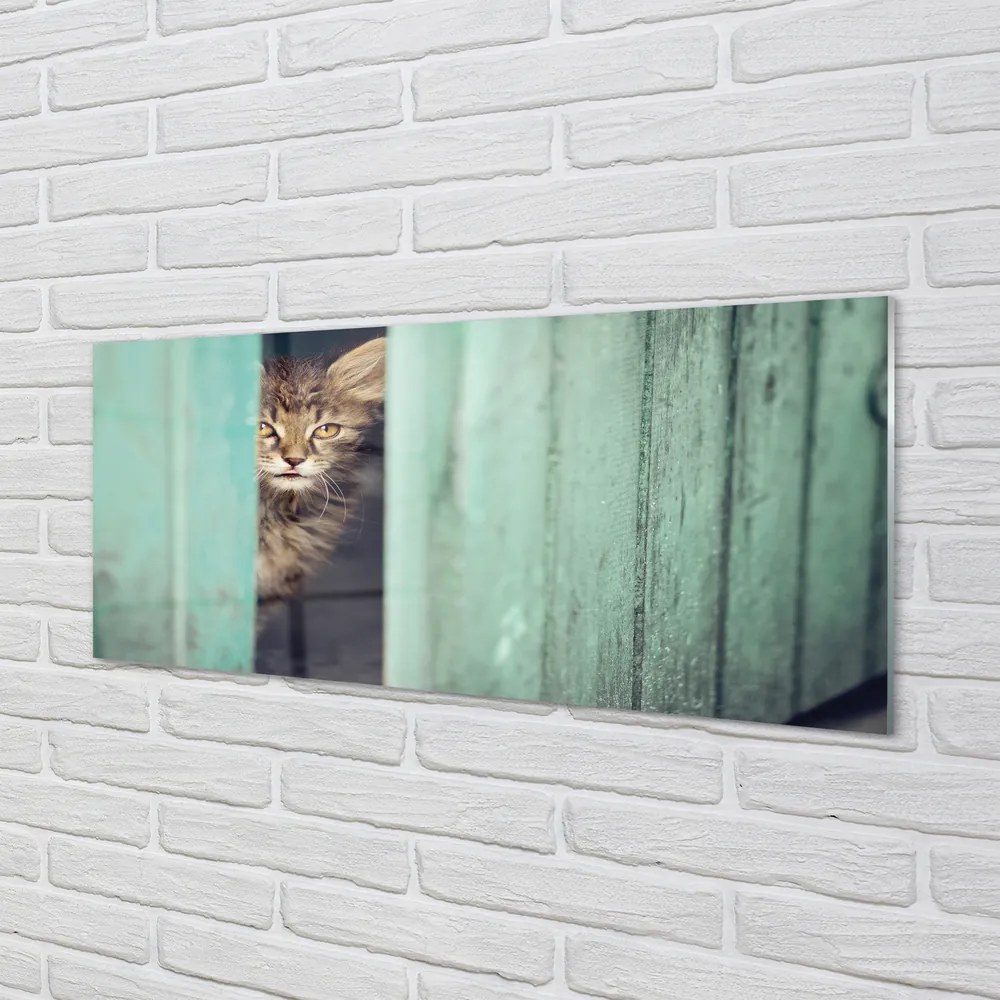 akrylový obraz Vypadající kočka 120x60 cm