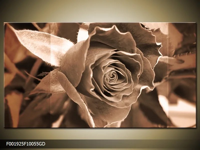 Obraz růže (), 40 dalších rozměrů