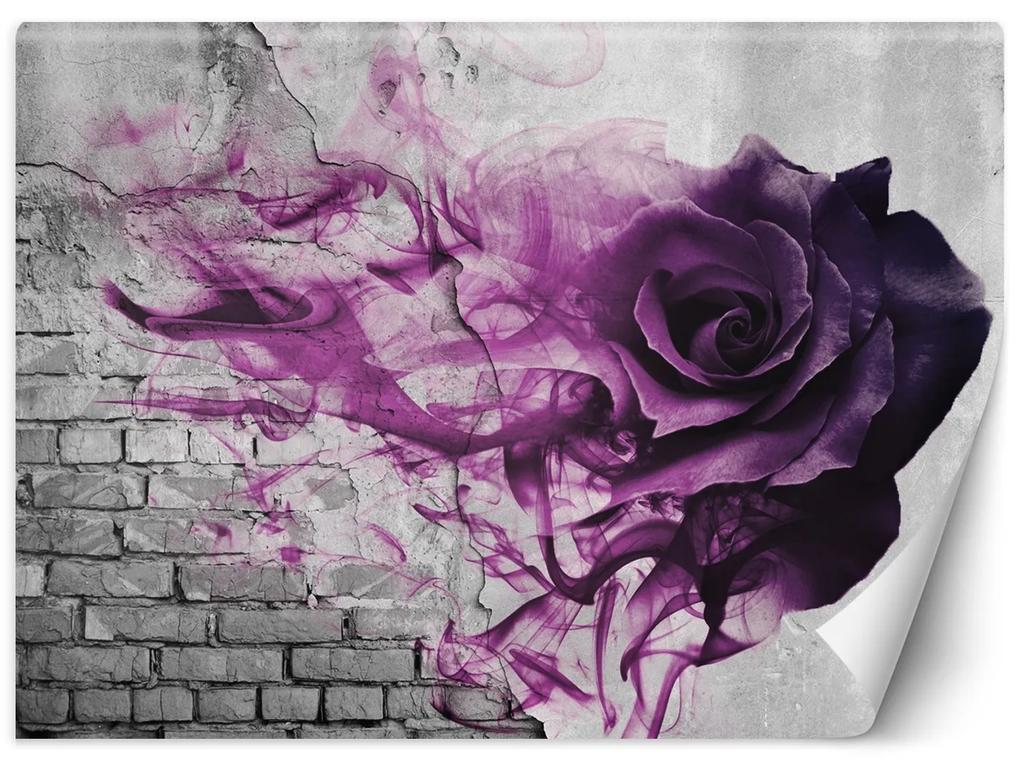 Gario Fototapeta Fialová růže Materiál: Vliesová, Rozměry: 200 x 140 cm