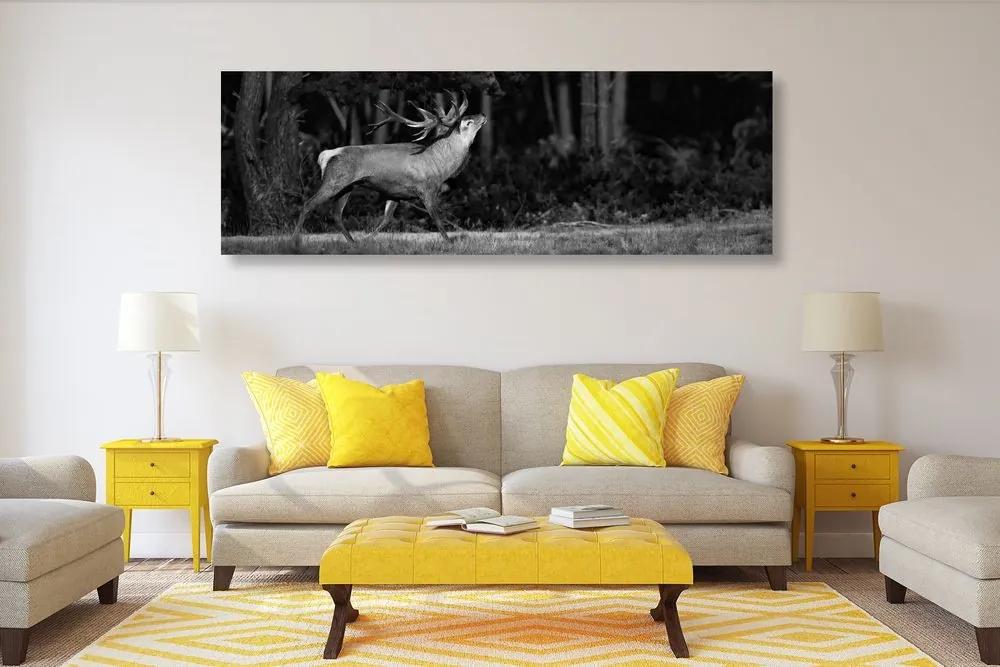 Obraz majestátní jelen v černobílém provedení - 135x45 cm