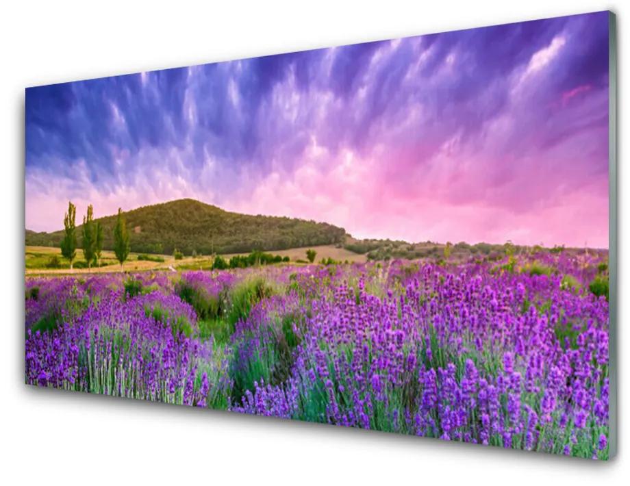 akrylový obraz Louka Květiny Hory Příroda 100x50 cm
