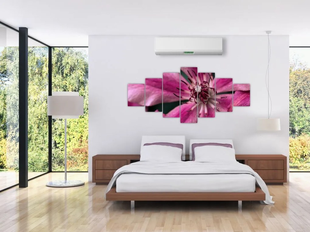 Obraz růžového květu Plaménku (210x100 cm)