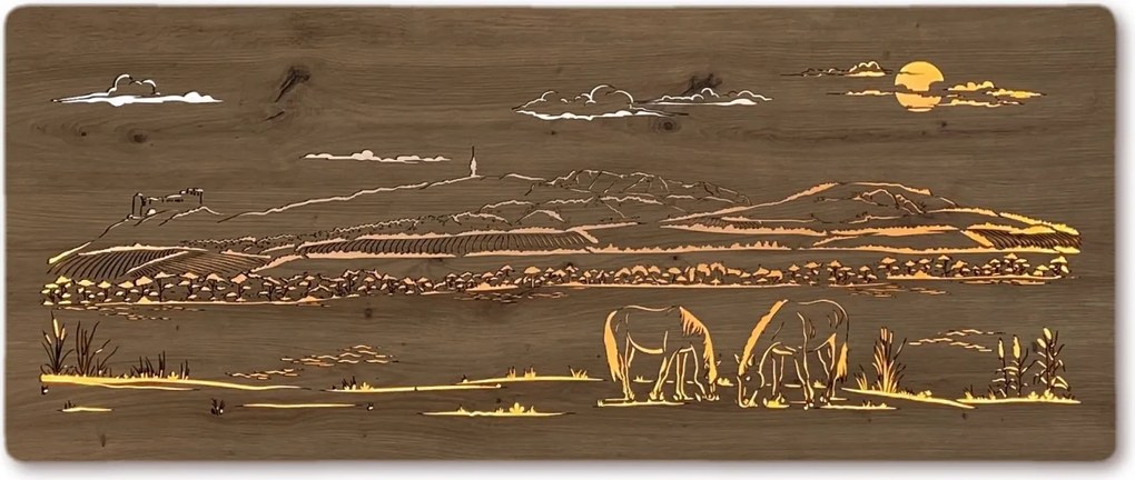 Li-Go "Pálava" světelný obraz s baterií 120x50cm varianta ovládání: manuál/pohybové čidlo, provedení povrchu: černá s patinou
