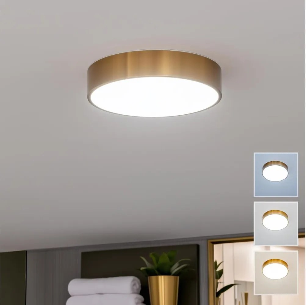 Brilagi - LED Koupelnové stropní svítidlo POOL LED/24W/230V pr. 30 cm IP54 bronz