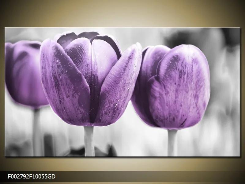 Obraz dvou fialových tulipánů  (), 40 dalších rozměrů