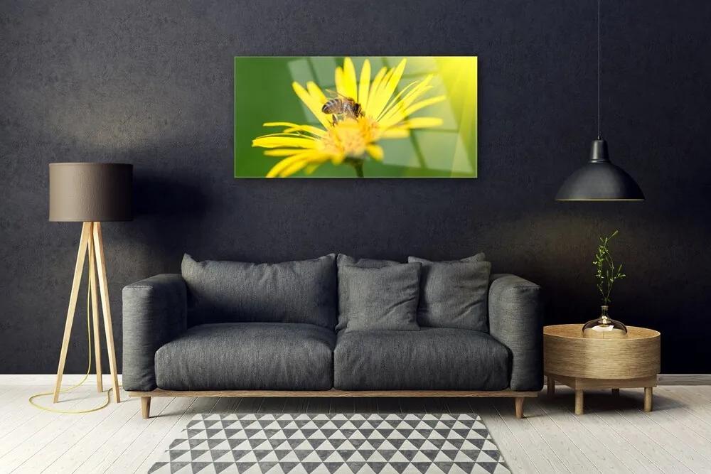 Plexisklo-obraz Vosa Květ Rostlina Příroda 100x50 cm