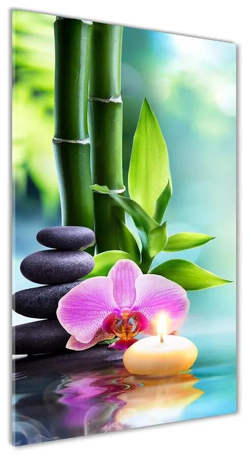 Wallmuralia Foto obraz akrylový Orchidej a bambus 70x140 cm