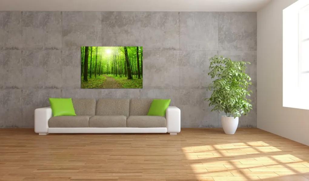 Malvis ® Obraz - procházka po lese Velikost: 60x40 cm