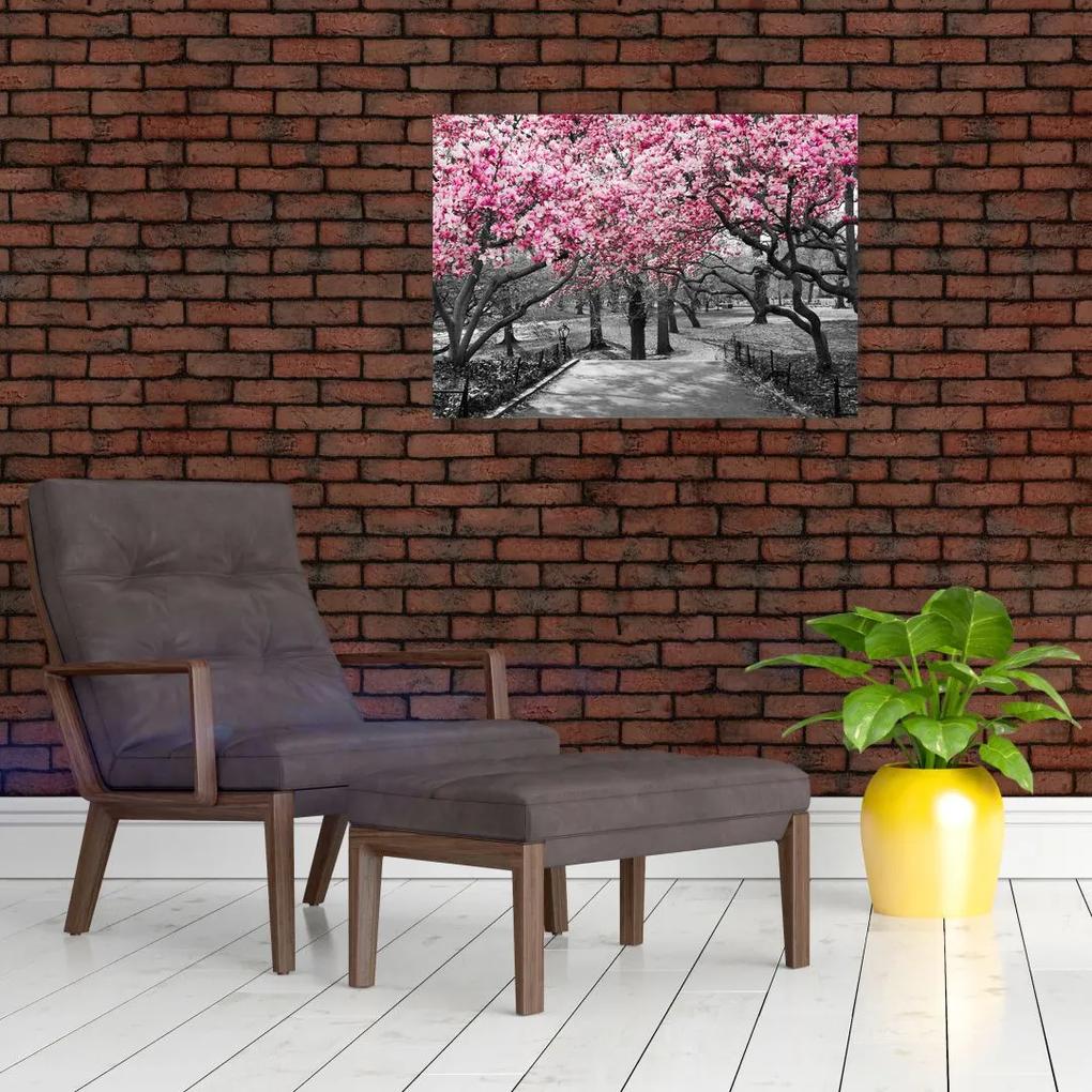 Skleněný obraz stromů Magnolíie (70x50 cm)