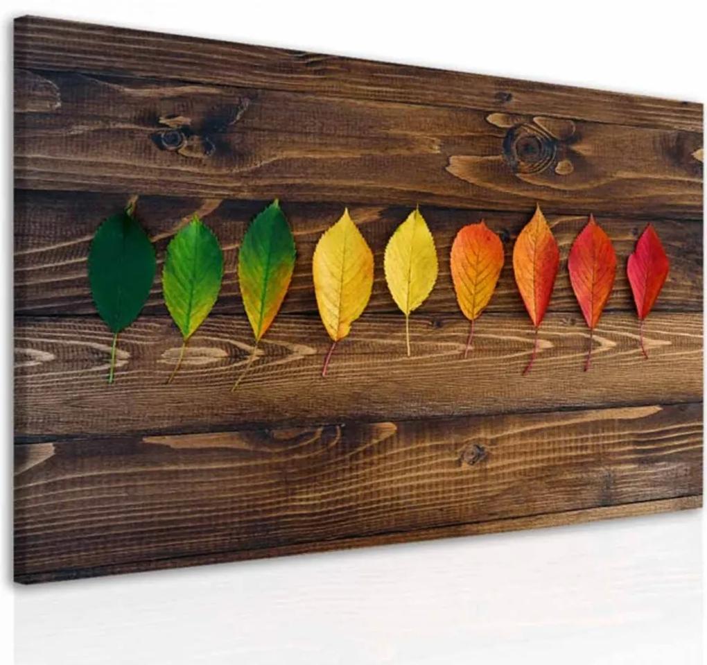 Malvis ® Obraz barevné listy na dřevě Velikost (šířka x výška): 150x100 cm