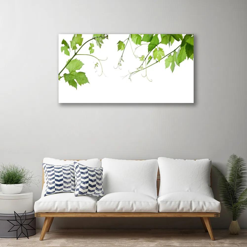 Obraz na plátně Větve Listy Příroda Květiny 120x60 cm