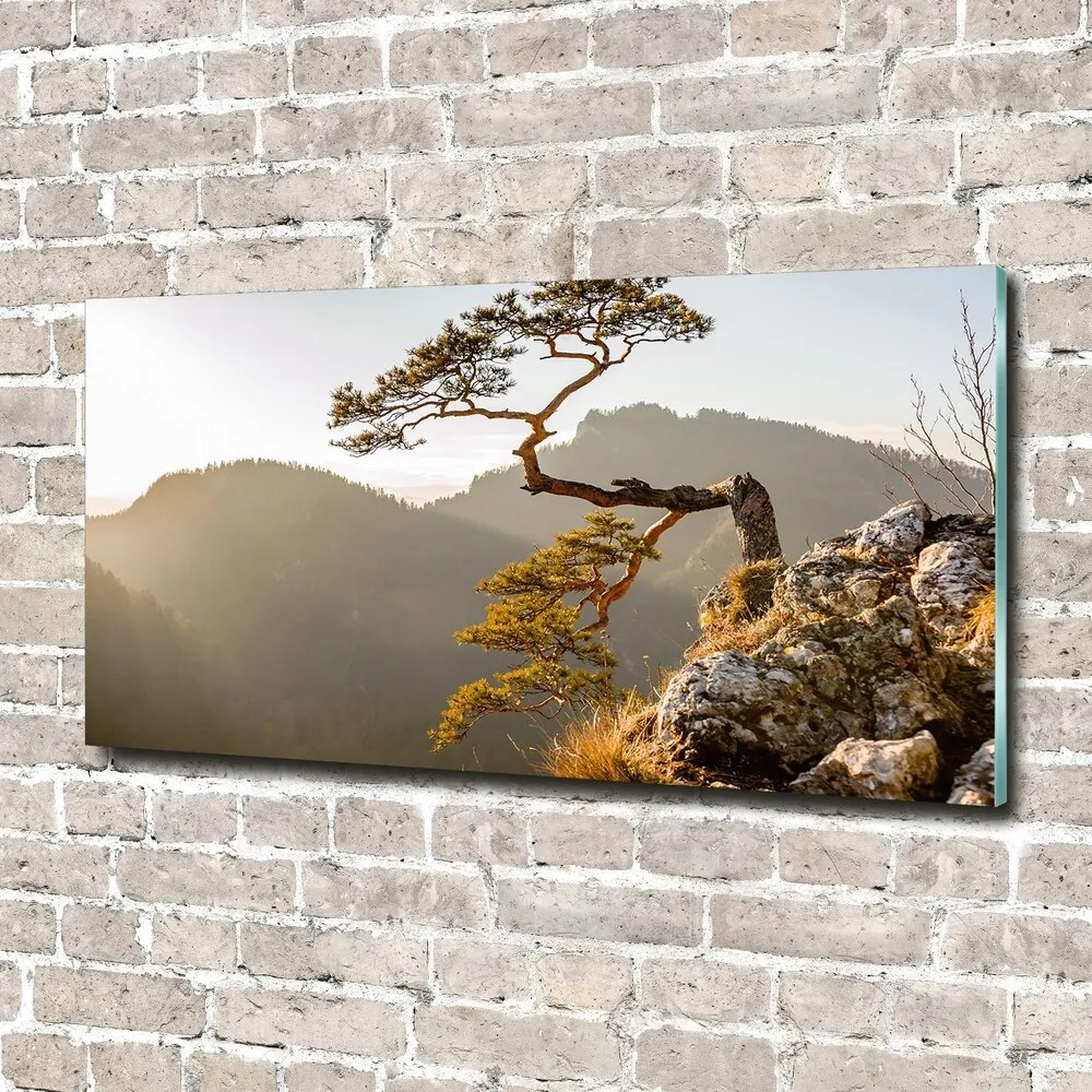 Wallmuralia Fotoobraz na skle Sokolice Pieniny 140x70 cm