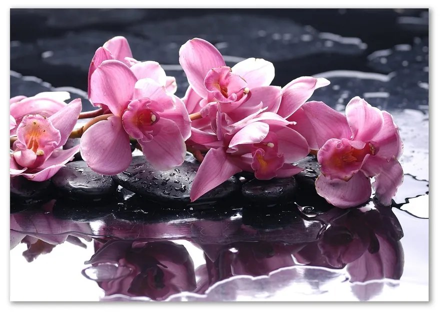 Wallmuralia Foto obraz sklo tvrzené Růžová orchidej 100x70 cm