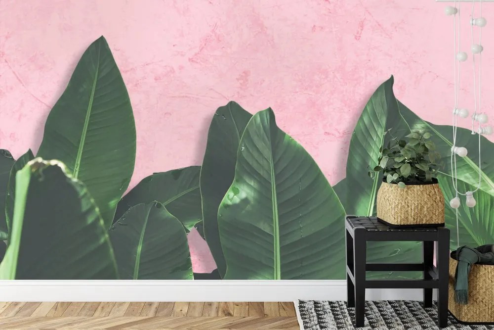 Fototapeta Tropické Rostliny Na Růžovém Pozadí Samolepící tapety 254x184