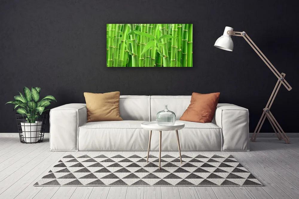 Obraz na plátně Bambus Stonek Květ Rostlina 140x70 cm