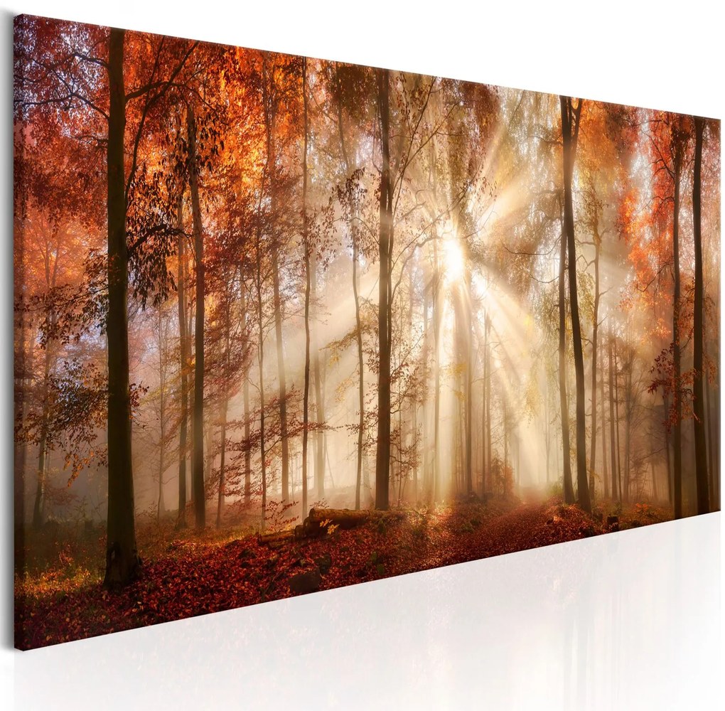 Obraz - Autumnal Dawn 150x50