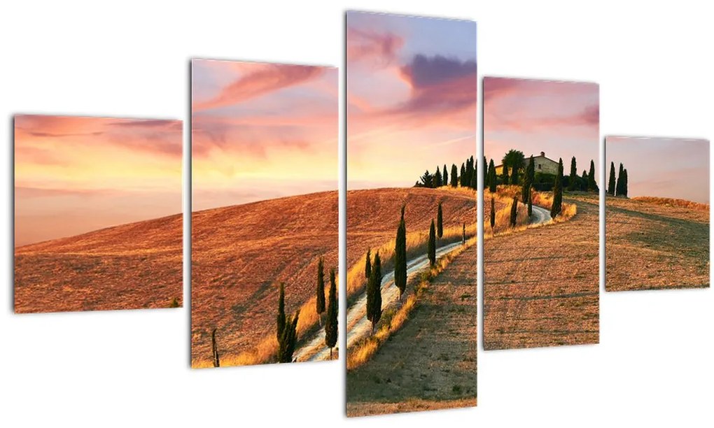 Obraz - Dům na kopci, Toskánsko, Itálie (125x70 cm)