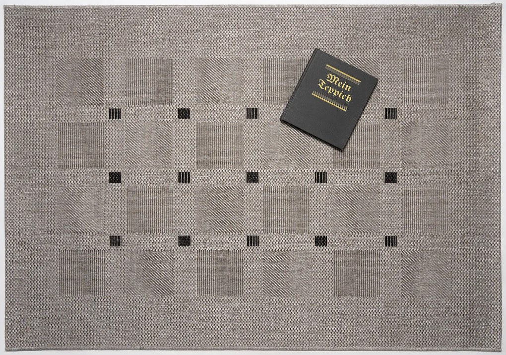 Devos Caby (DC Carpets), Kusový koberec FLOORLUX Silver/Black 20079 – na ven i na doma, 120x170, béžová, chodba / předsíň