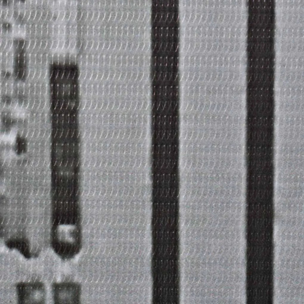 Skládací paraván 200 x 170 cm New York by Day černobílý 245859