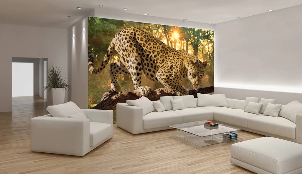 Fototapeta - Jaguar Forest Woods (254x184 cm)