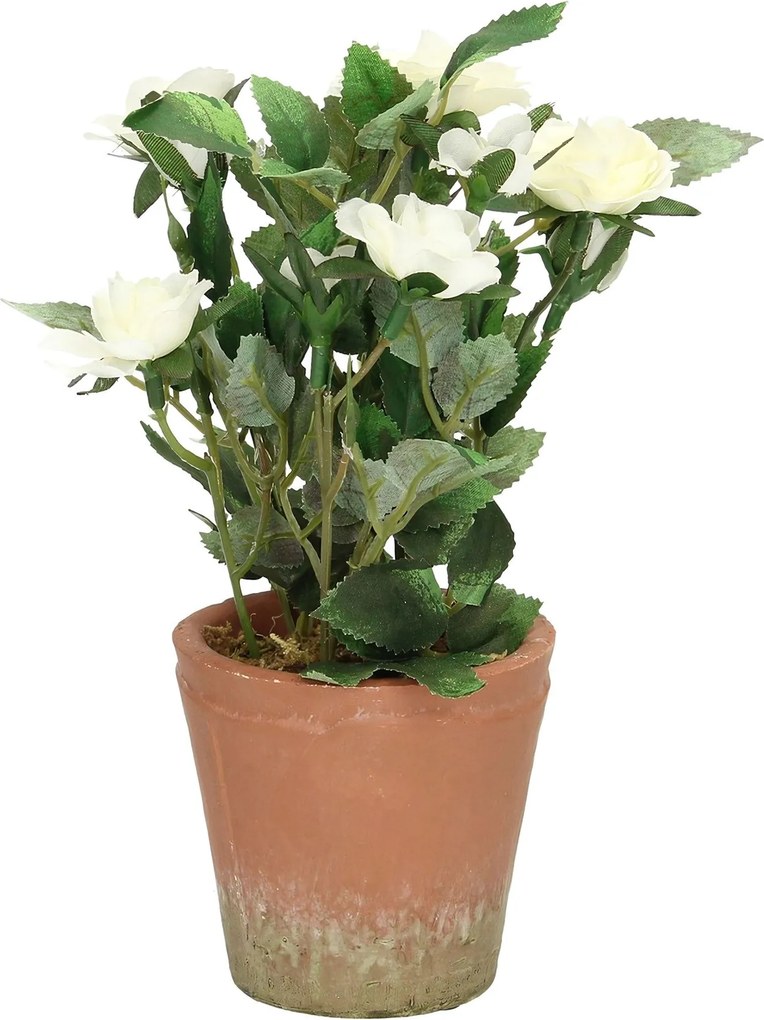 Dekorace White Rose 24cm