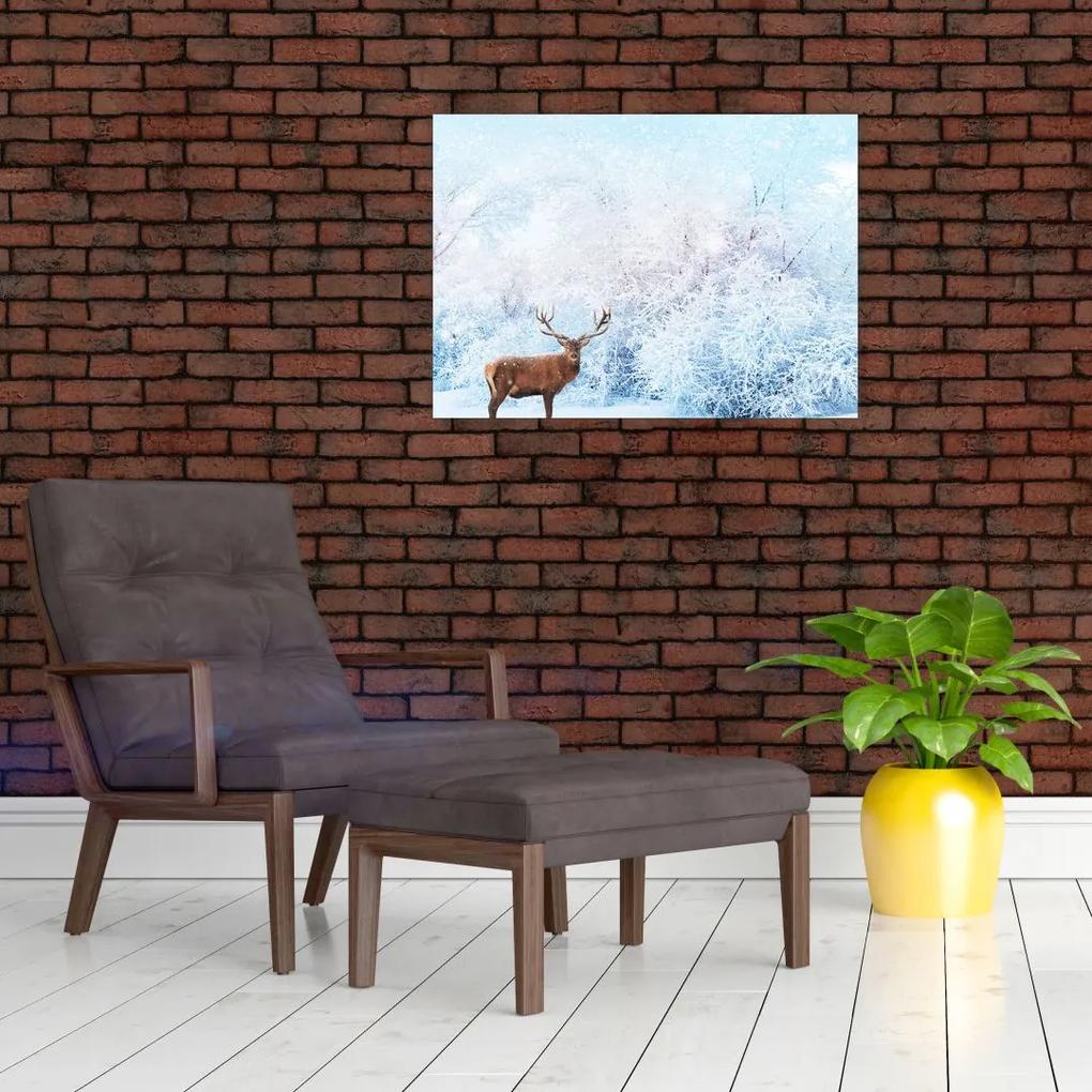 Skleněný obraz majestátního jelena (70x50 cm)