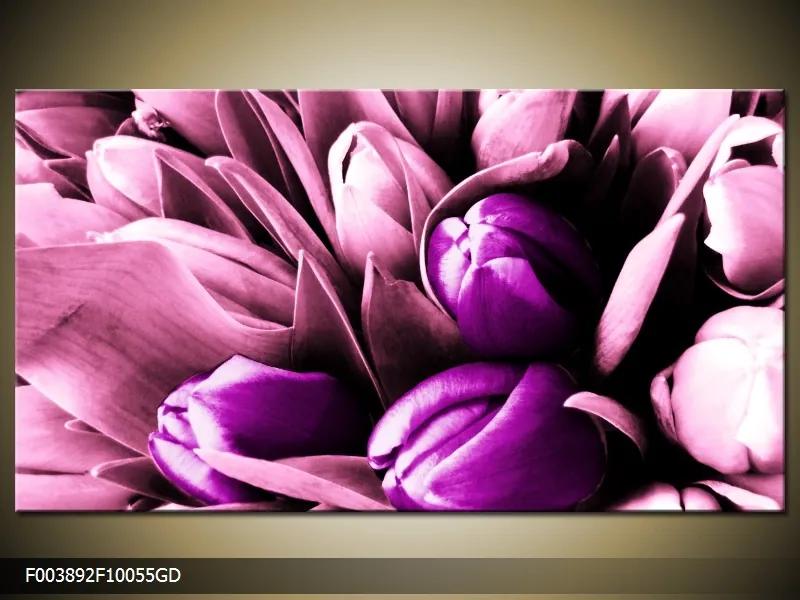 Obraz tří fialových tulipánů  (), 40 dalších rozměrů