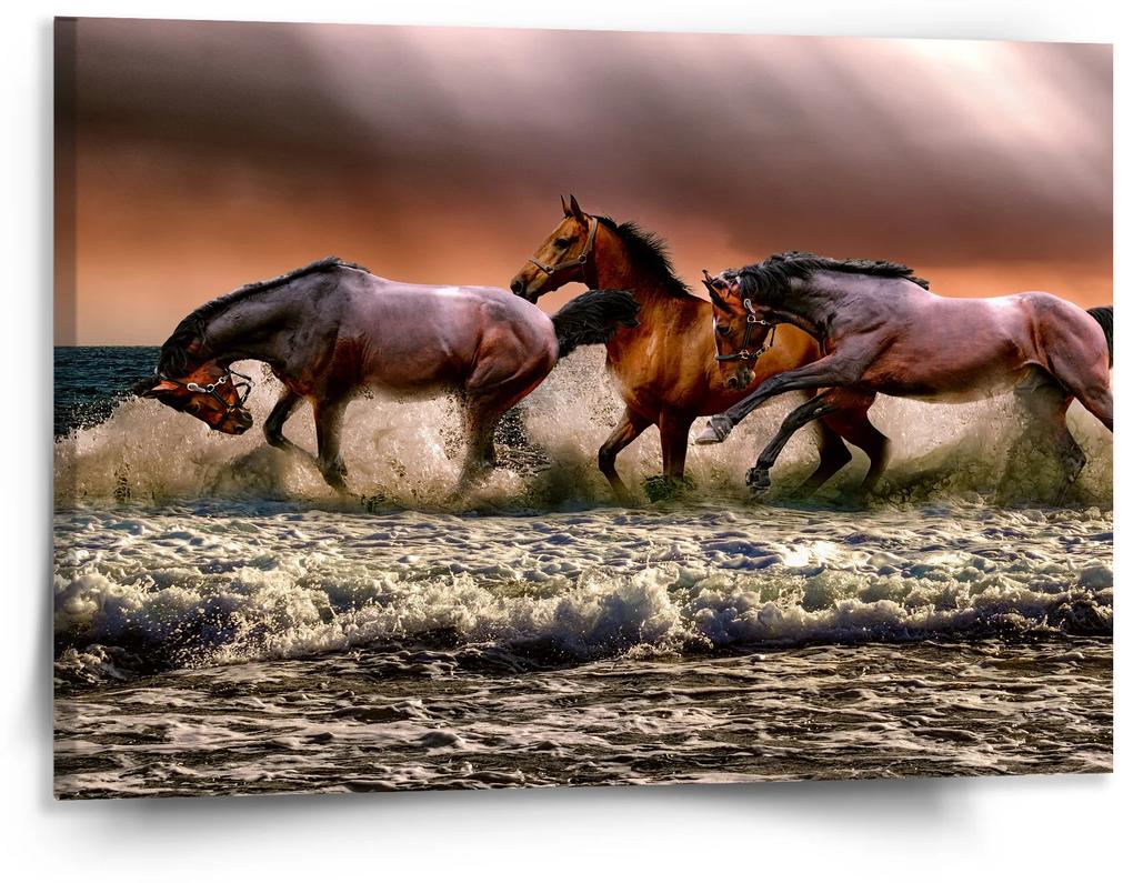 Obraz - Koně ve vodě 150x110 cm