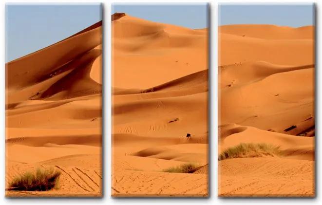 3-dílný obraz - Sahara