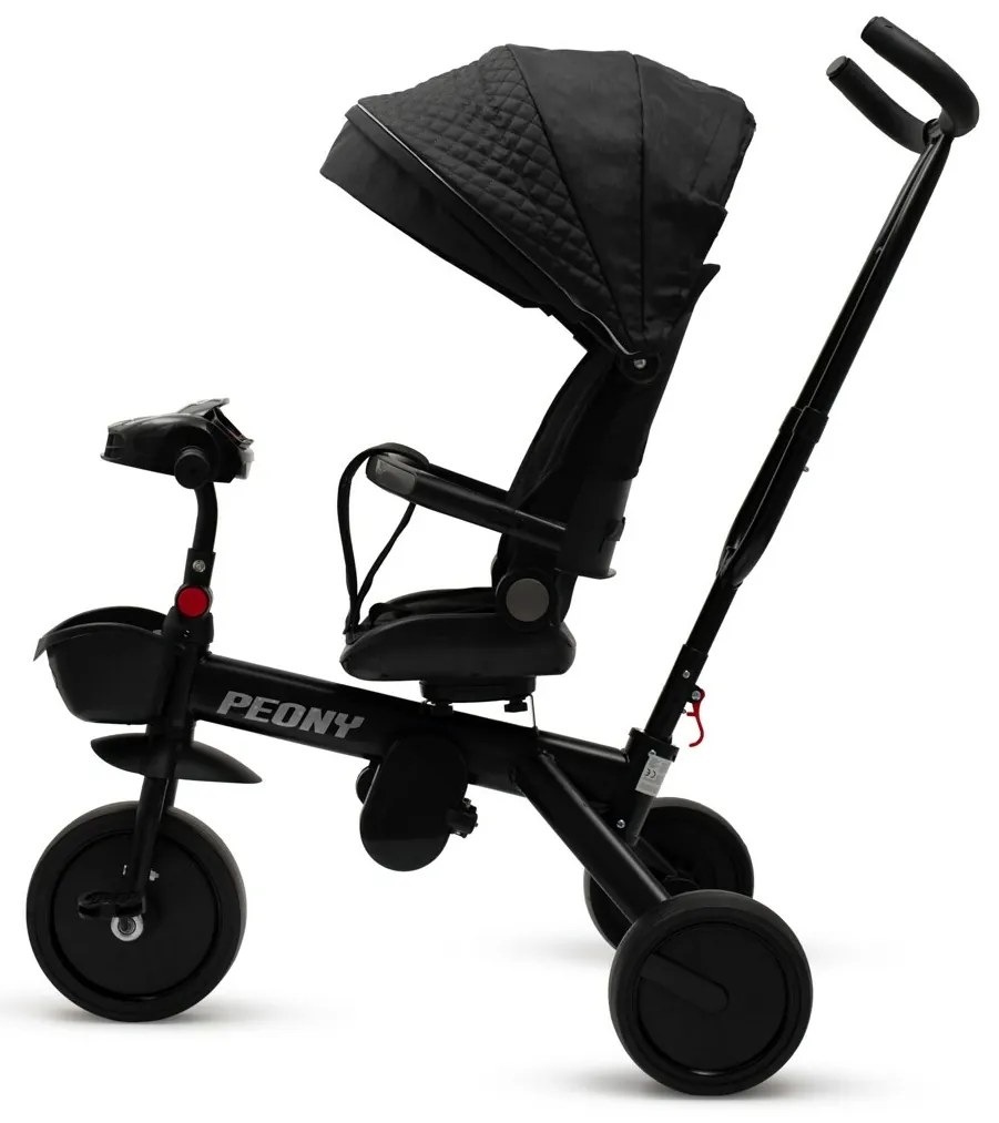 Dětská tříkolka Baby Mix Peony EVA černá