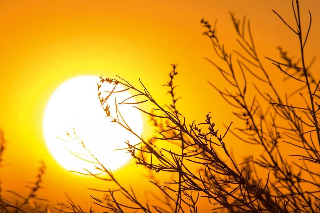 DIMEX | Samolepicí vliesová fototapeta na zeď Podzimní západ slunce MA-5-1743 | 375 x 250 cm | černá, žlutá, oranžová