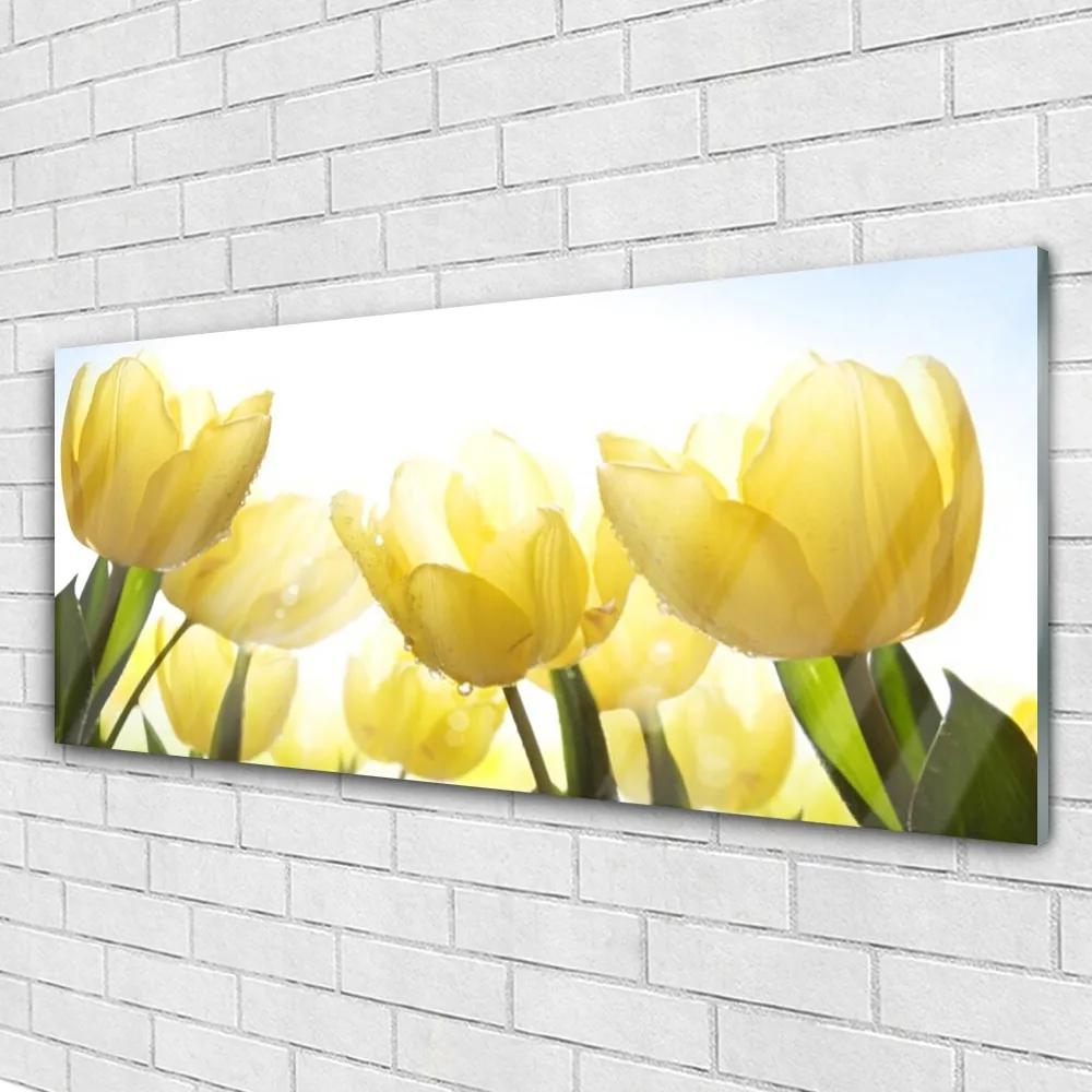 Plexisklo-obraz Tulipány Květiny Paprsky 125x50 cm