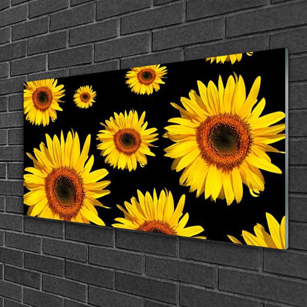 Obraz na skle Slunečnice Rostlina Příroda 120x60 cm