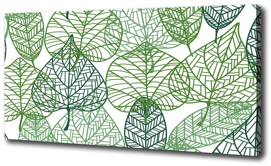 Wallmuralia Moderní obraz canvas na rámu Zelené listí vzor 100x50 cm