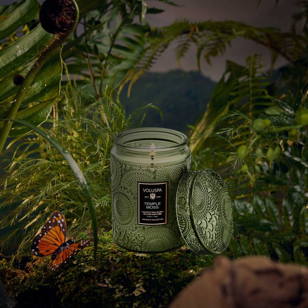 Voluspa svíčka Temple Moss, 156 g