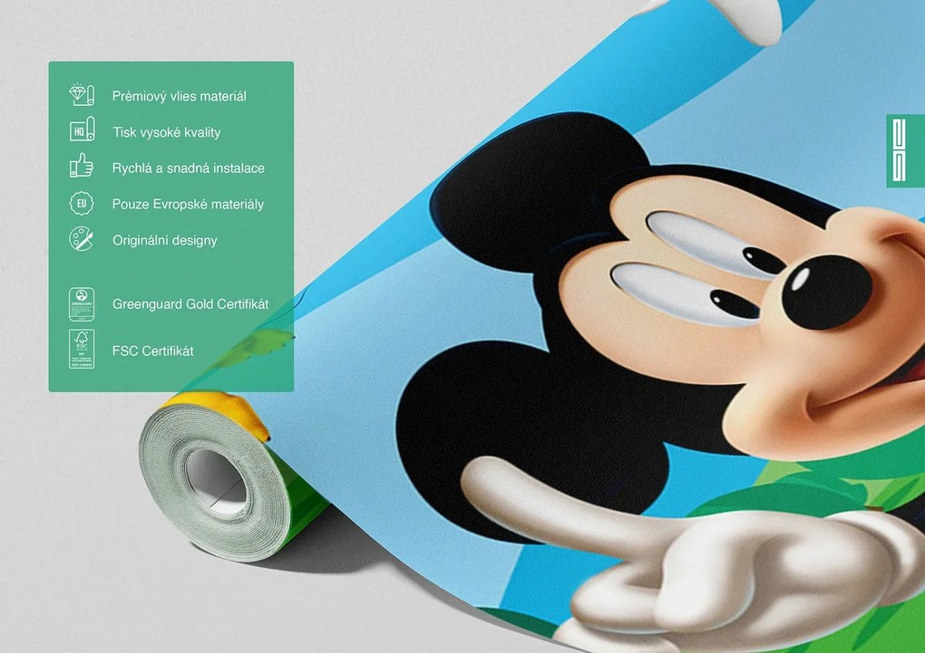 Dětská fototapeta na zed' Hřiště Mickeyho Mouse, Disney | 360 x 254 cm | DFTD 0253