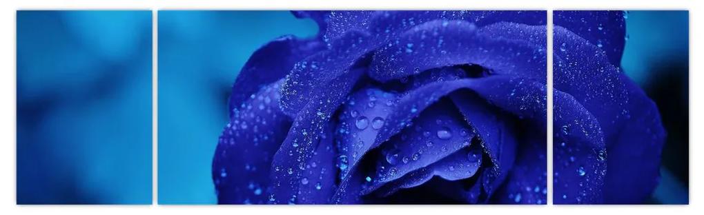 Obraz modré růže (170x50 cm)
