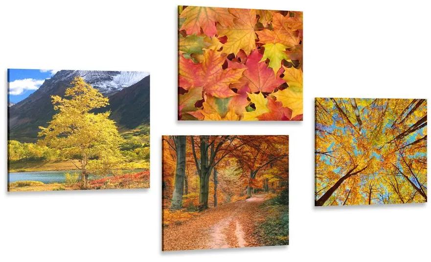 Set obrazů podzimní příroda v nádherných barvách Varianta: 4x 40x40