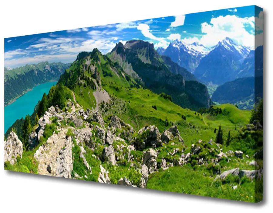 Obraz na plátně Louka Hory Krajina Příroda 125x50 cm