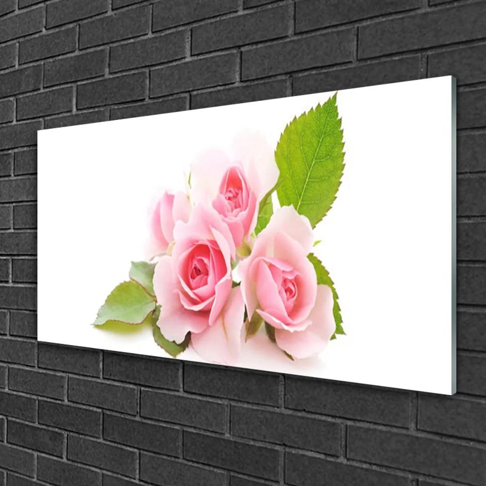 Obraz na skle Růže Květiny Příroda 120x60 cm