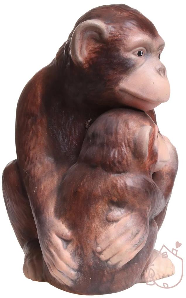 Opice Abu s mládětem
