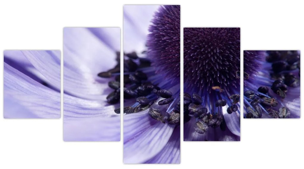 Obraz - Fialový květ (125x70 cm)