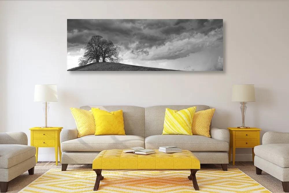 Obraz černobílé osamělé stromy - 150x50 cm
